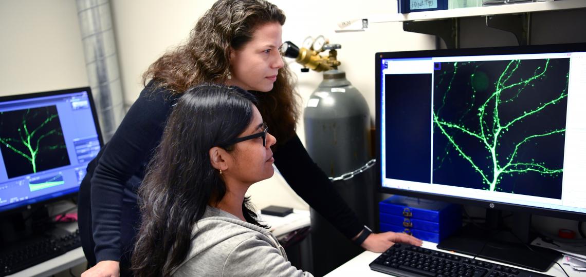 Kimberley Tolias Lab | BCM